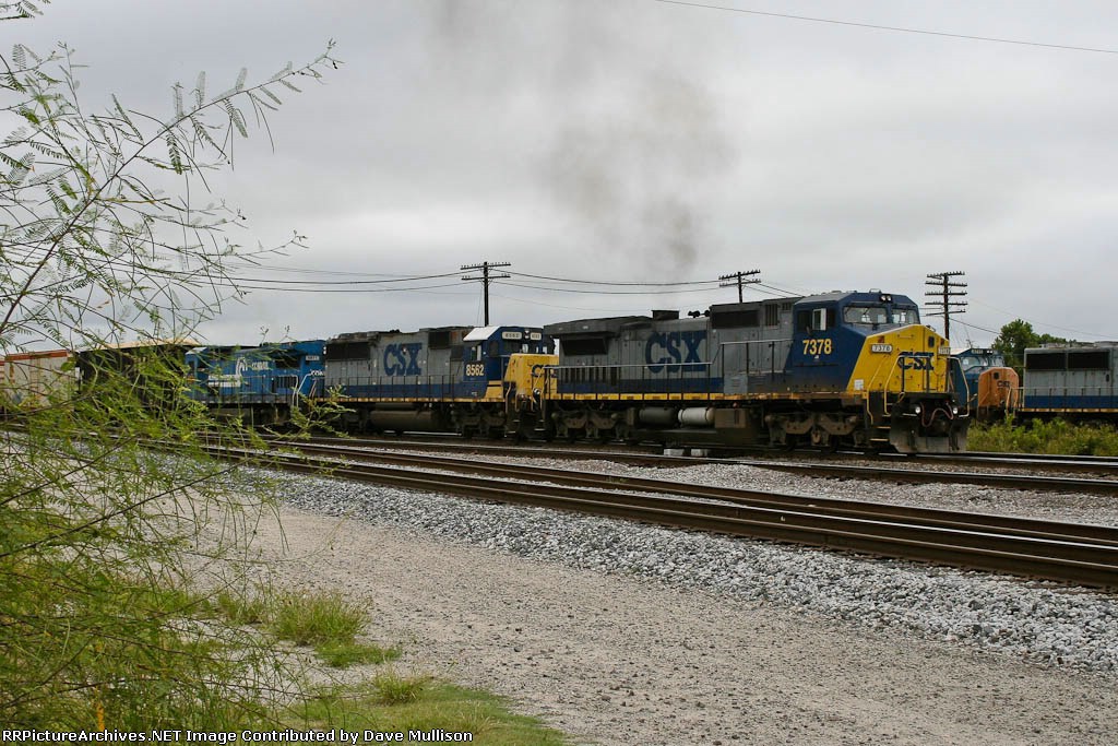 CSX 7378, CSX 8562, CSX 5971